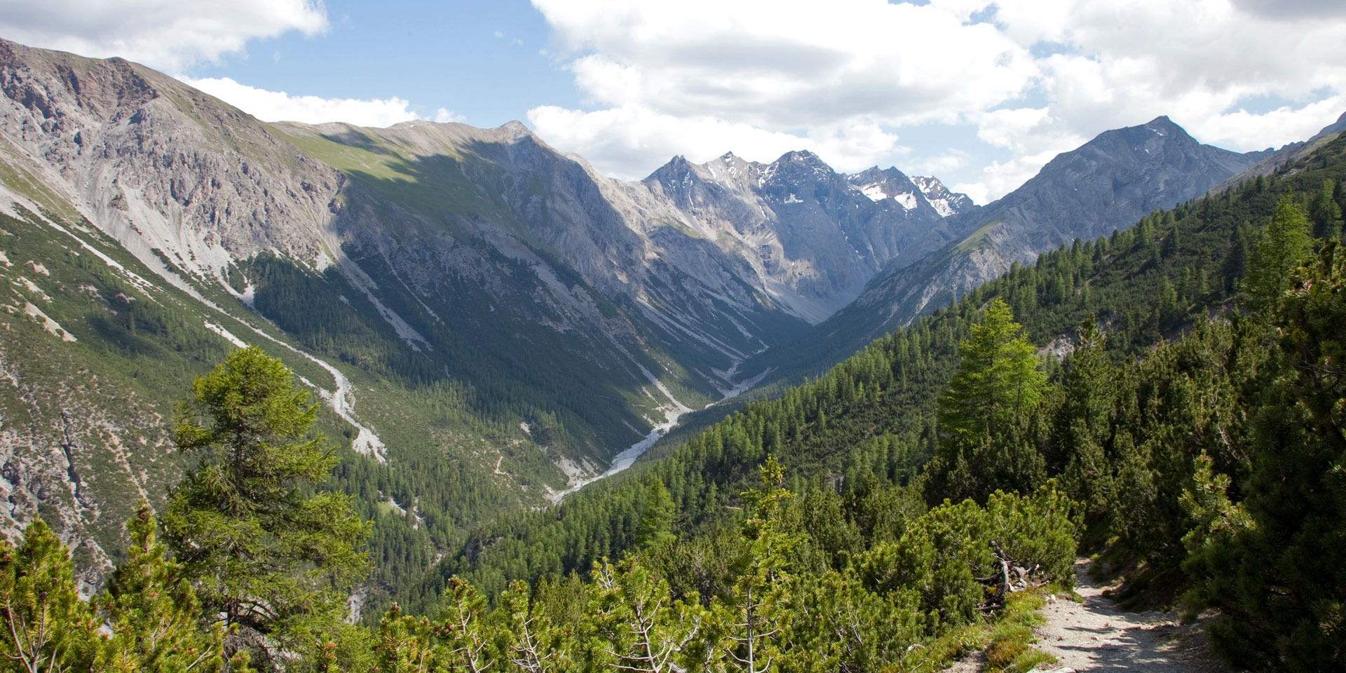 Pro Natura – Switzerland’s Number One in Conservation | Pro Natura