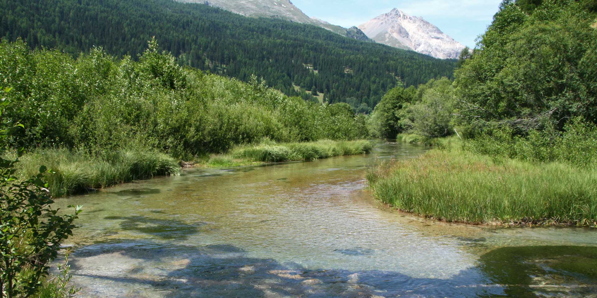Réserve naturelle de la zone alluviale du Rom (GR) | Pro Natura