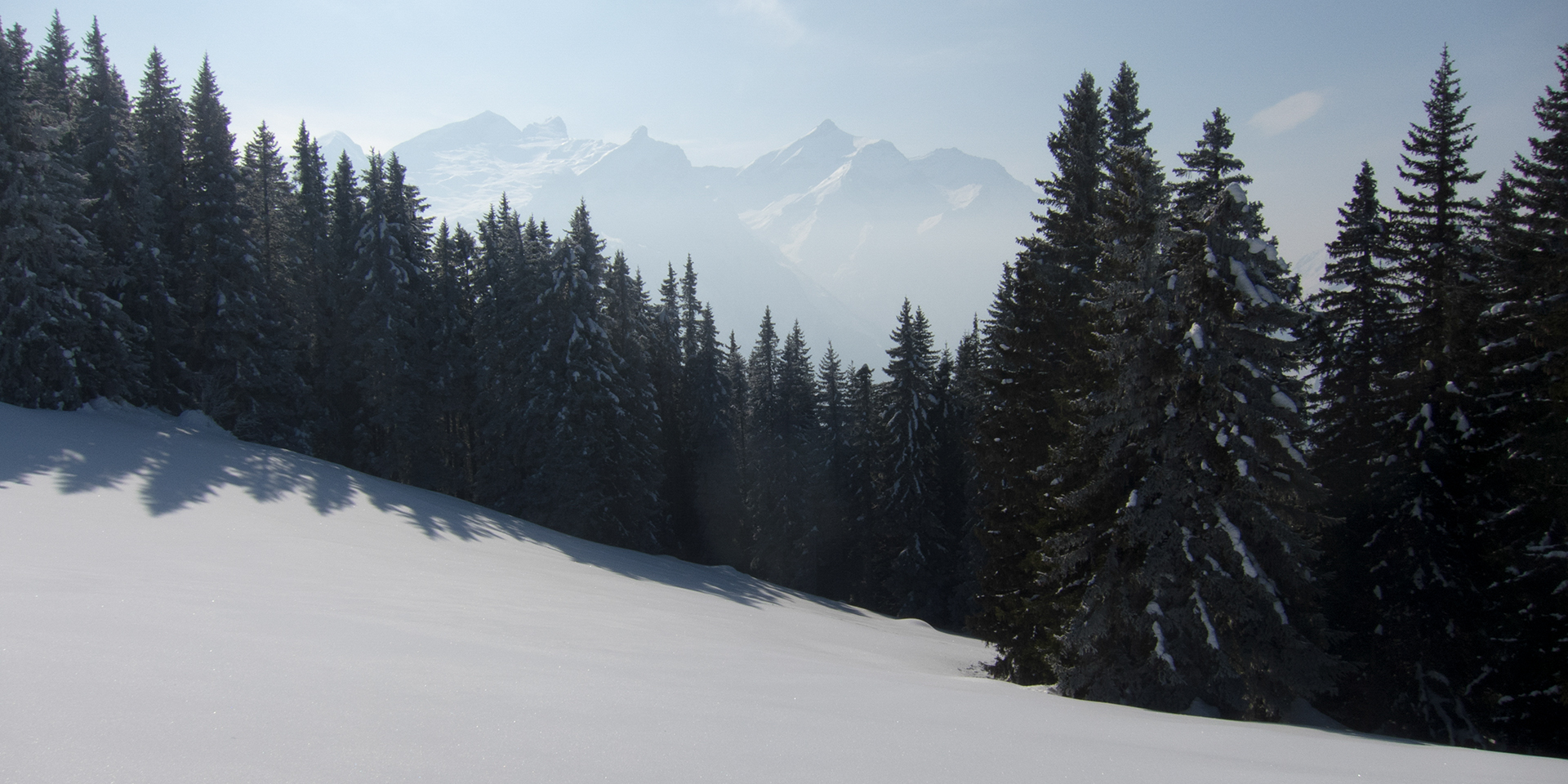 Ihre häufigsten Fragen in unserem FAQ | Pro Natura