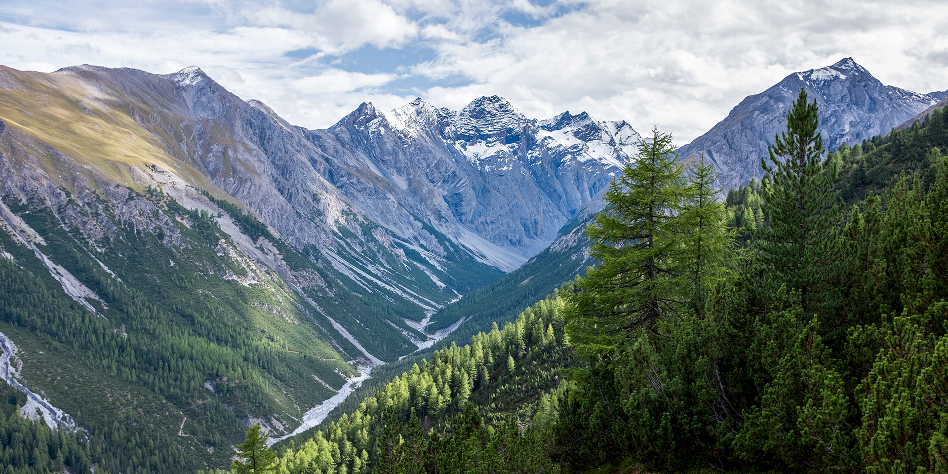 Pro Natura – Switzerland’s Number One in Conservation | Pro Natura