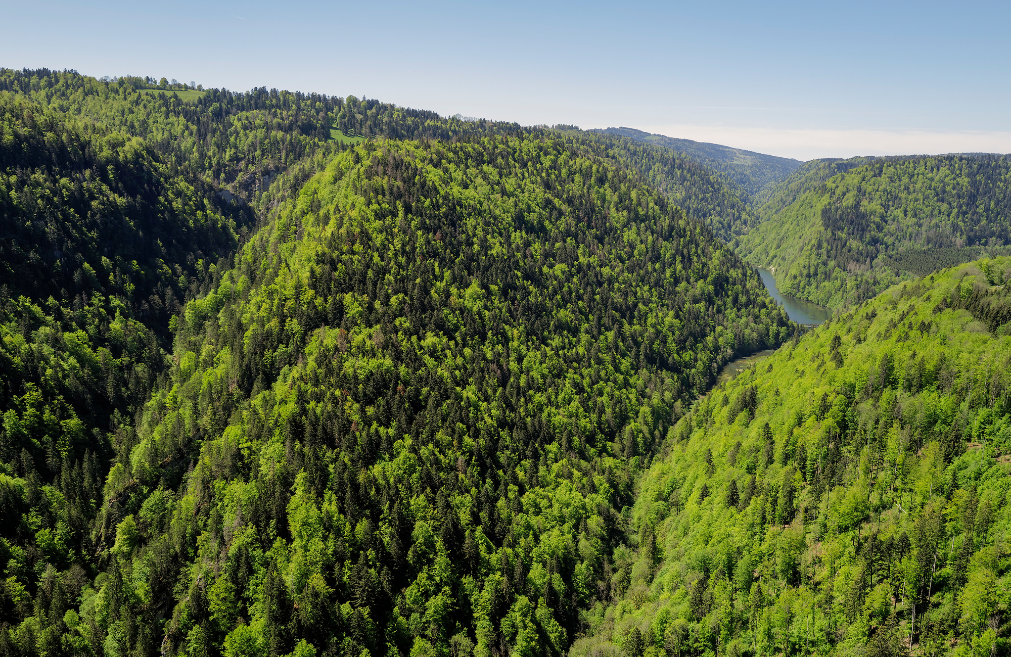 La Suisse très en retard dans le Réseau Émeraude | Pro Natura