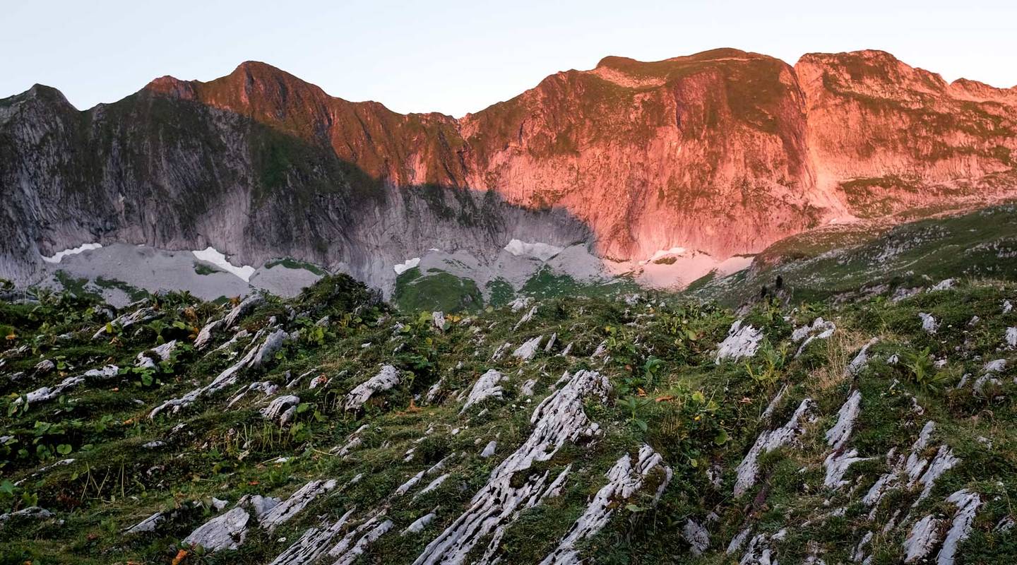 Réserve naturelle du Vanil Noir (FR) | Pro Natura