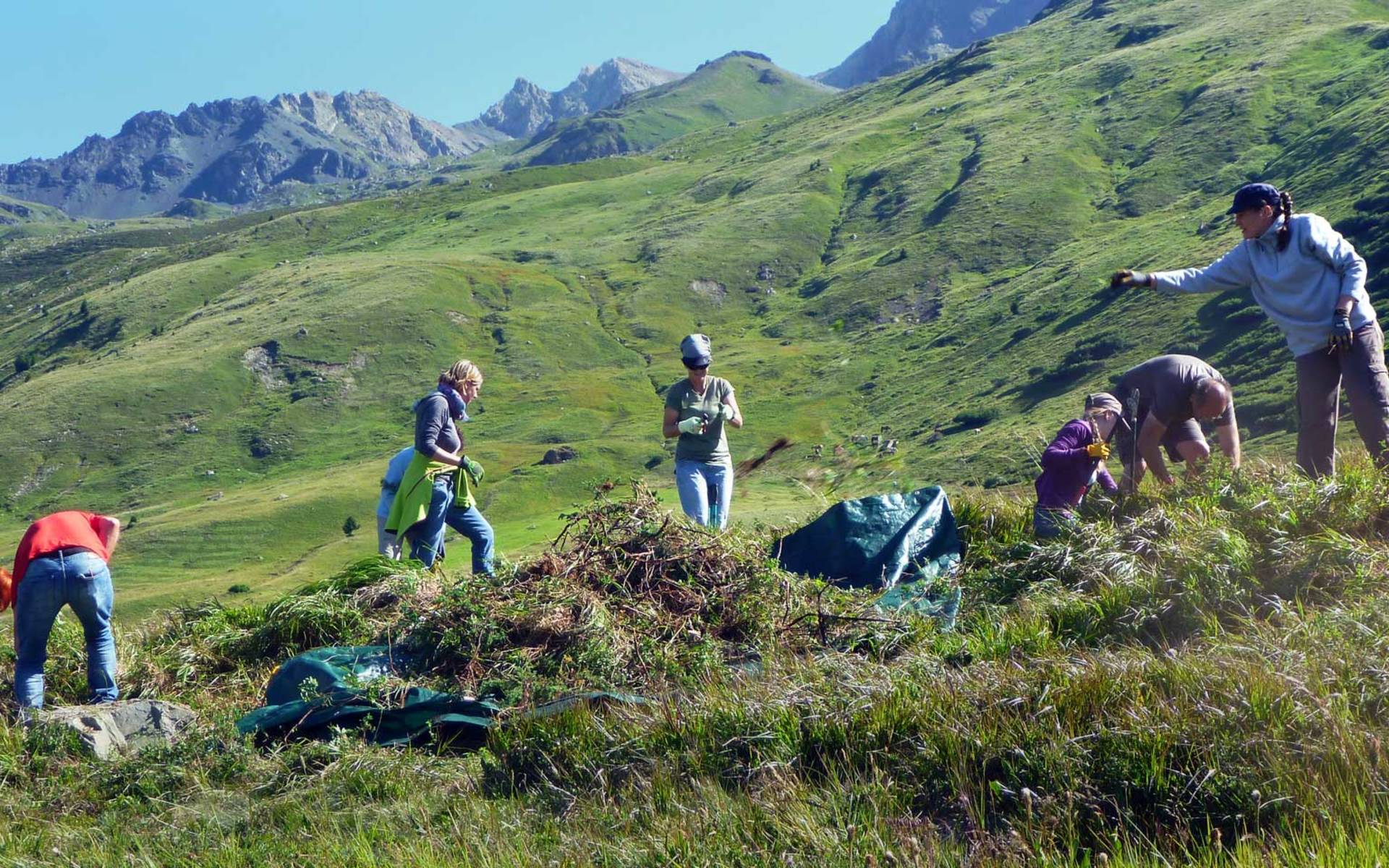 Working Together for Nature | Pro Natura