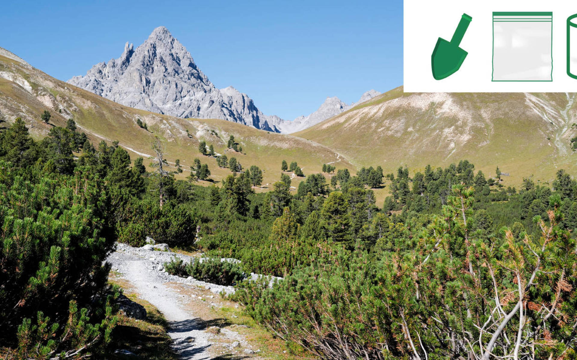 In der Natur aufs WC gehen | Pro Natura